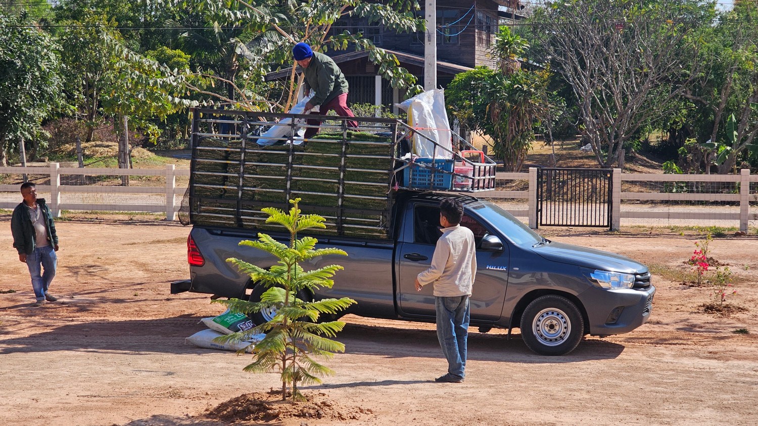 Thai Home Build – Landscaping Activity – Feb 25 – Retirement Reimagined ...