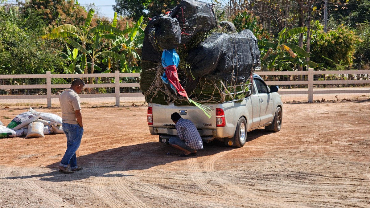 Thai Home Build – Landscaping Activity – Feb 25 – Retirement Reimagined ...