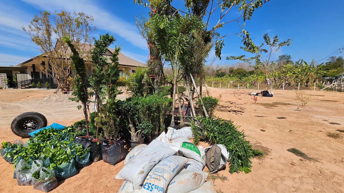 Thai Home Build – Landscaping Activity – Feb 25 – Retirement Reimagined ...