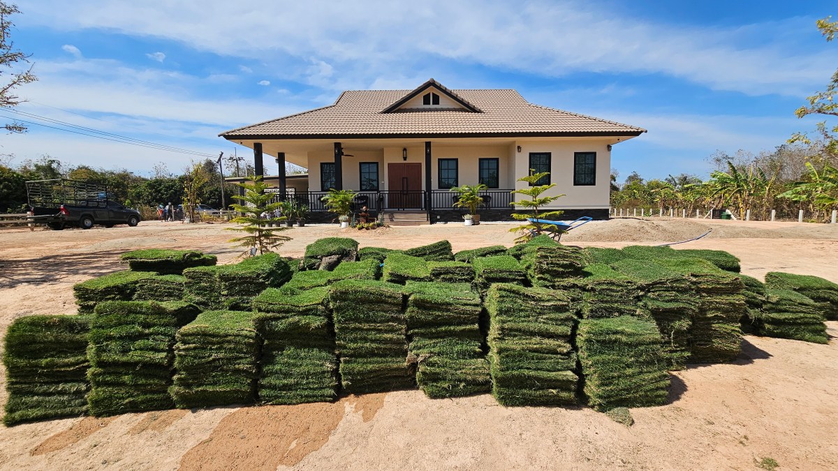 Thai Home Build – Landscaping Activity – Feb 25 – Retirement Reimagined ...