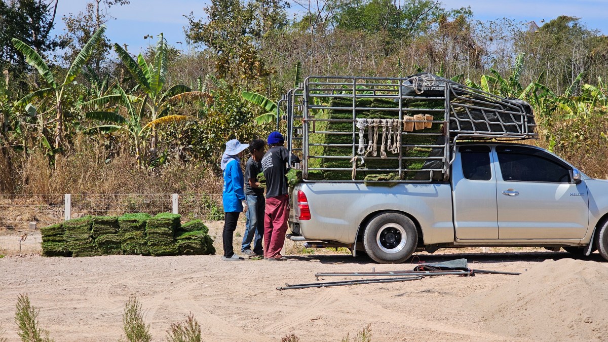 Thai Home Build – Landscaping Activity – Feb 25 – Retirement Reimagined ...