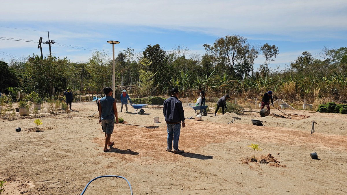 Thai Home Build – Landscaping Activity – Feb 25 – Retirement Reimagined ...